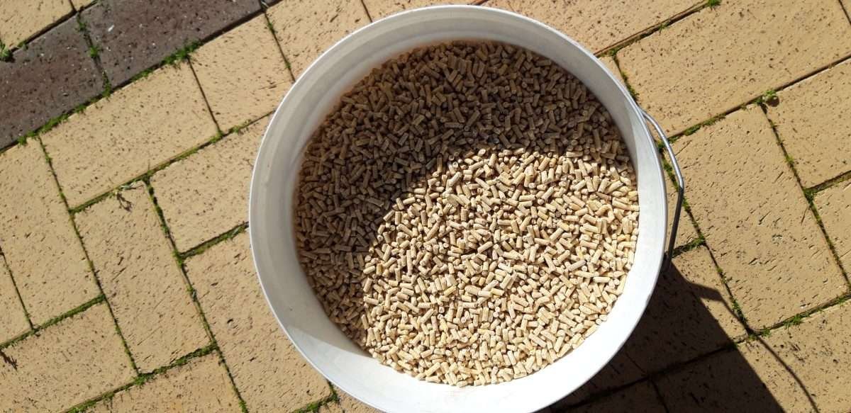 Best Way to Store Chicken Feed in 2025 - Updated June 2025 - My Chicken ...